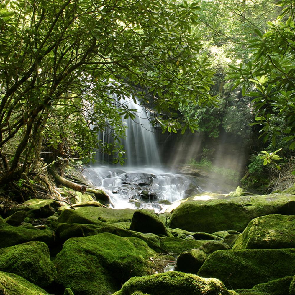 Maresamada | Réservation d'hôtel